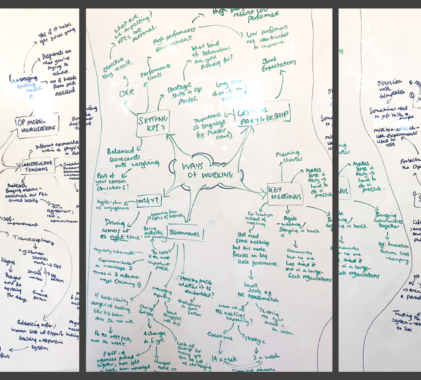 Organisation Design | Healthy Organisations | Q5 Partners