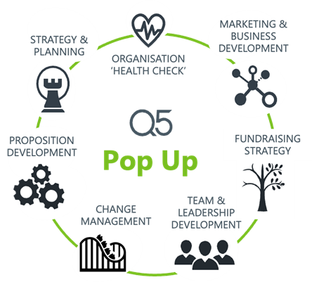 The Q5 Foundation: 2022 | News & Insights | Q5 Partners