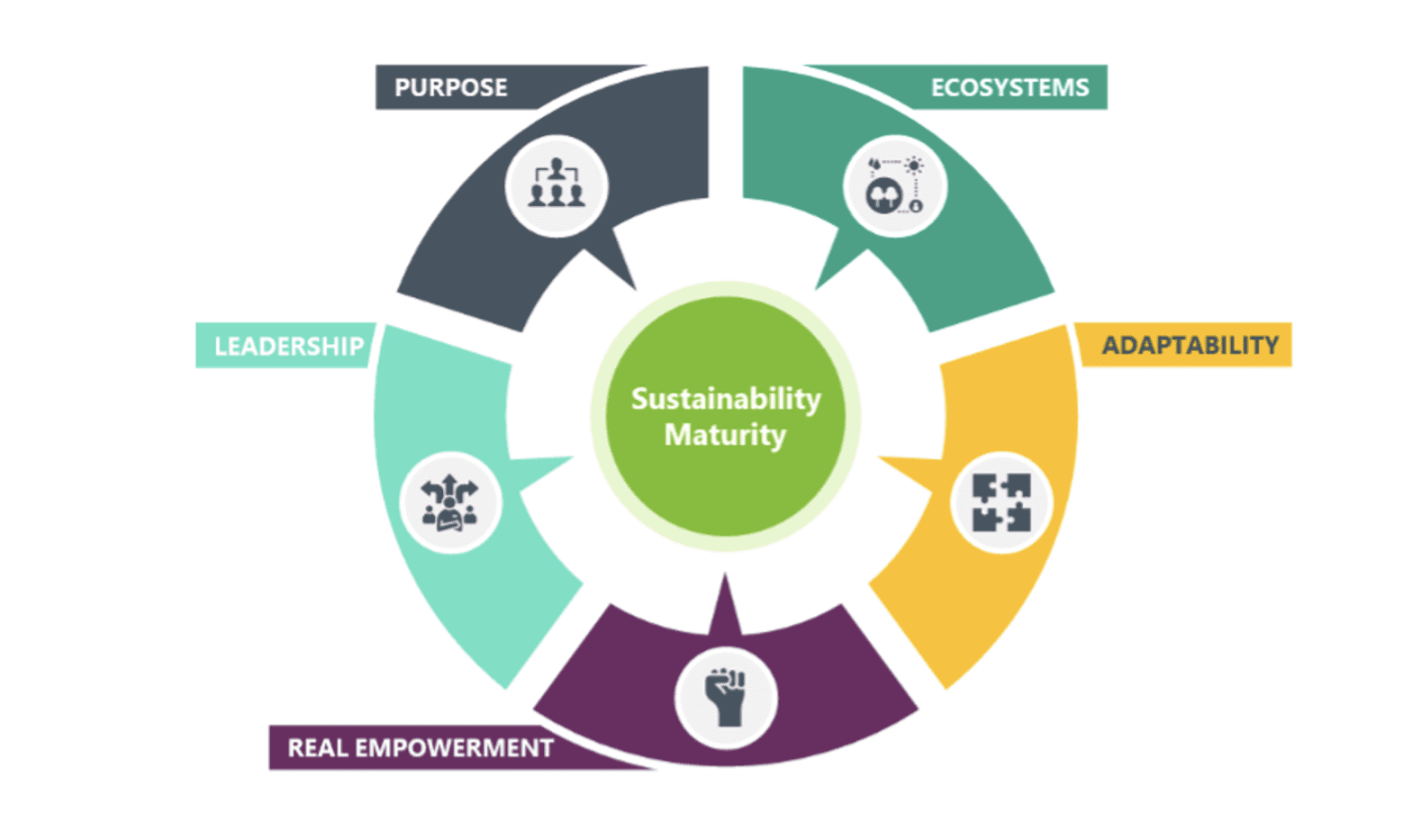Sustainability | Q5 Partners