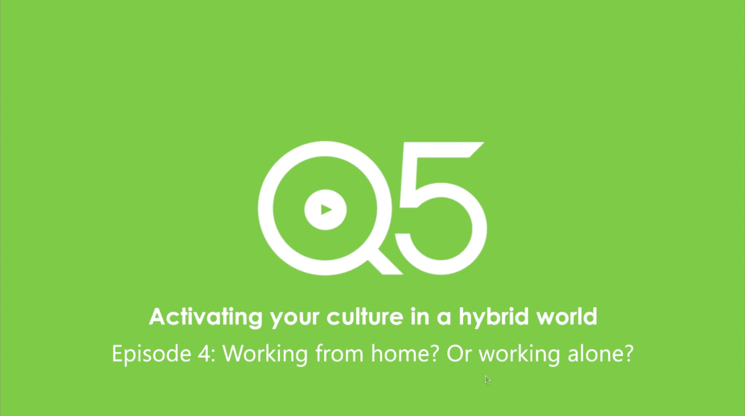 Organisational Development and Culture Consultancy | Q5 Partner