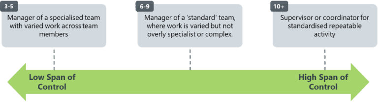 Determining The Optimal Spans of Control | Q5 Partners